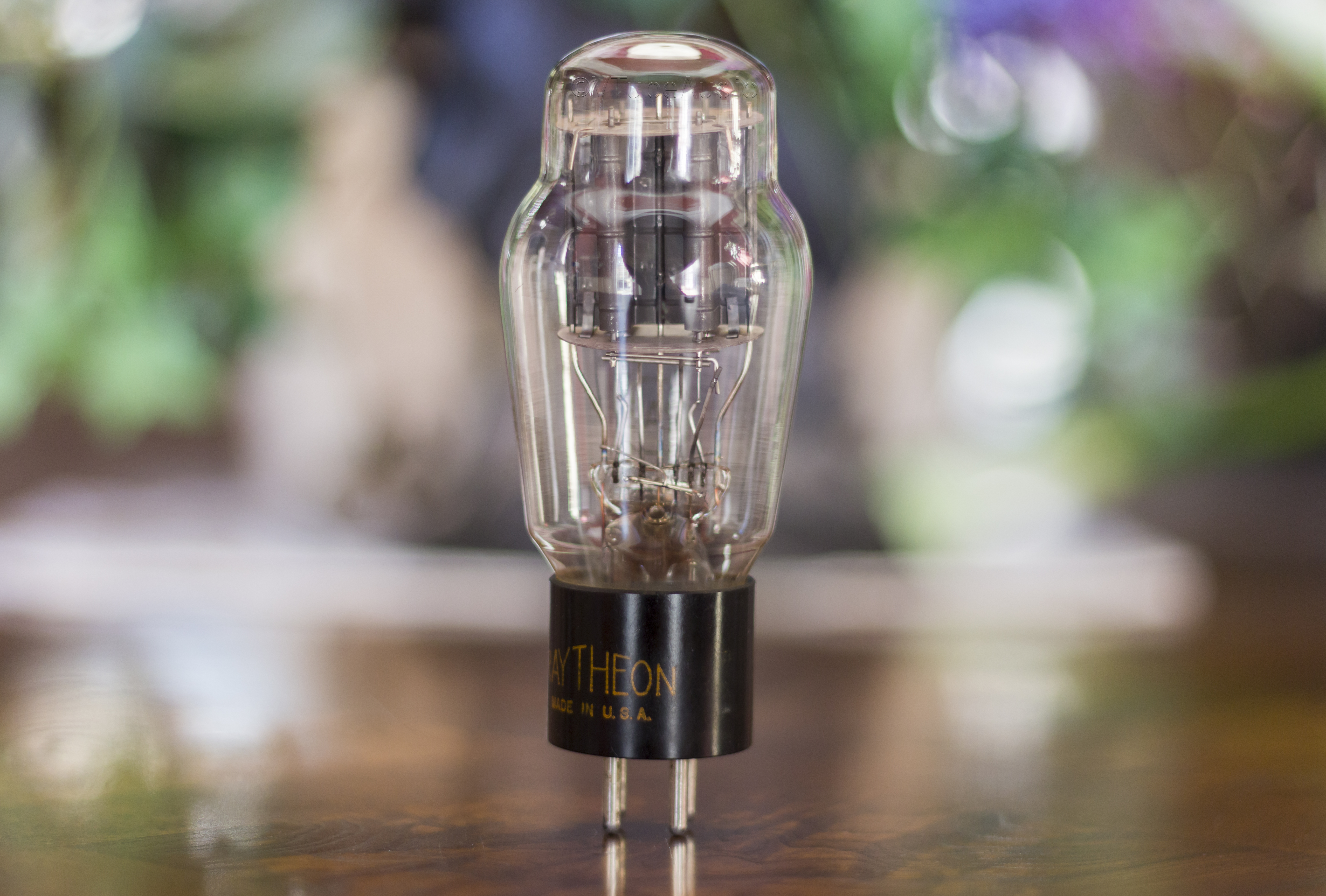 2A3 RCA Raytheon type on glass 3 IMG_7135-1 | VTubeAudio